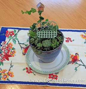 A Minature Garden in a Pot | Coffee For Roses