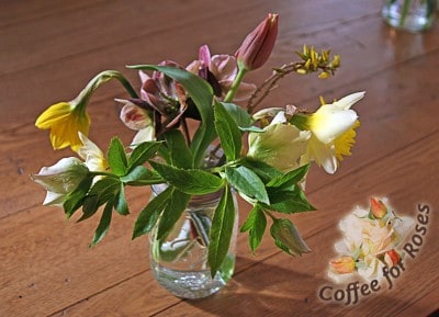 Mason Jar Spring Flower Display | Coffee For Roses